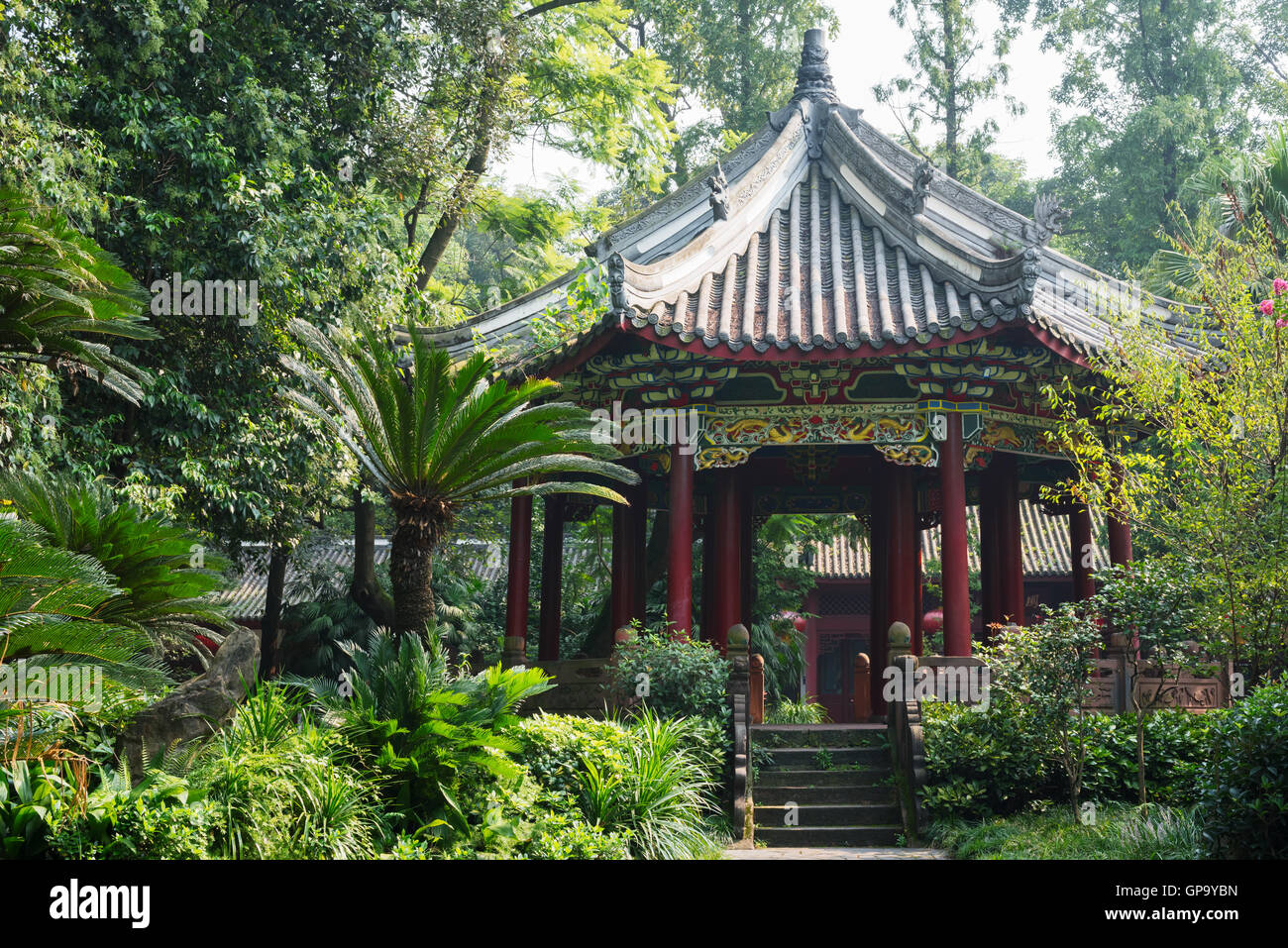 China vegetation hi-res stock photography and images - Alamy