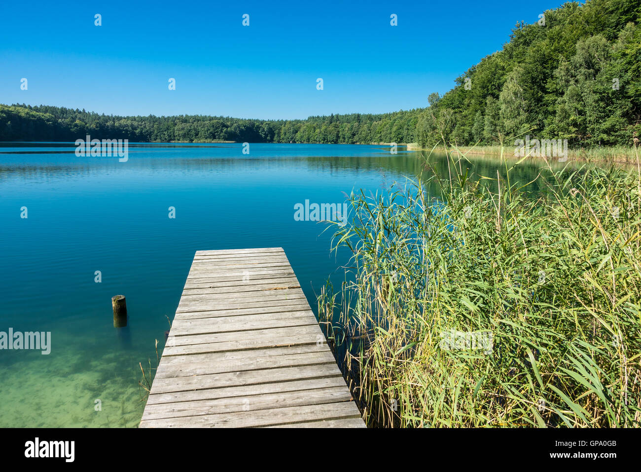 Landscape on a lake with trees Stock Photo - Alamy
