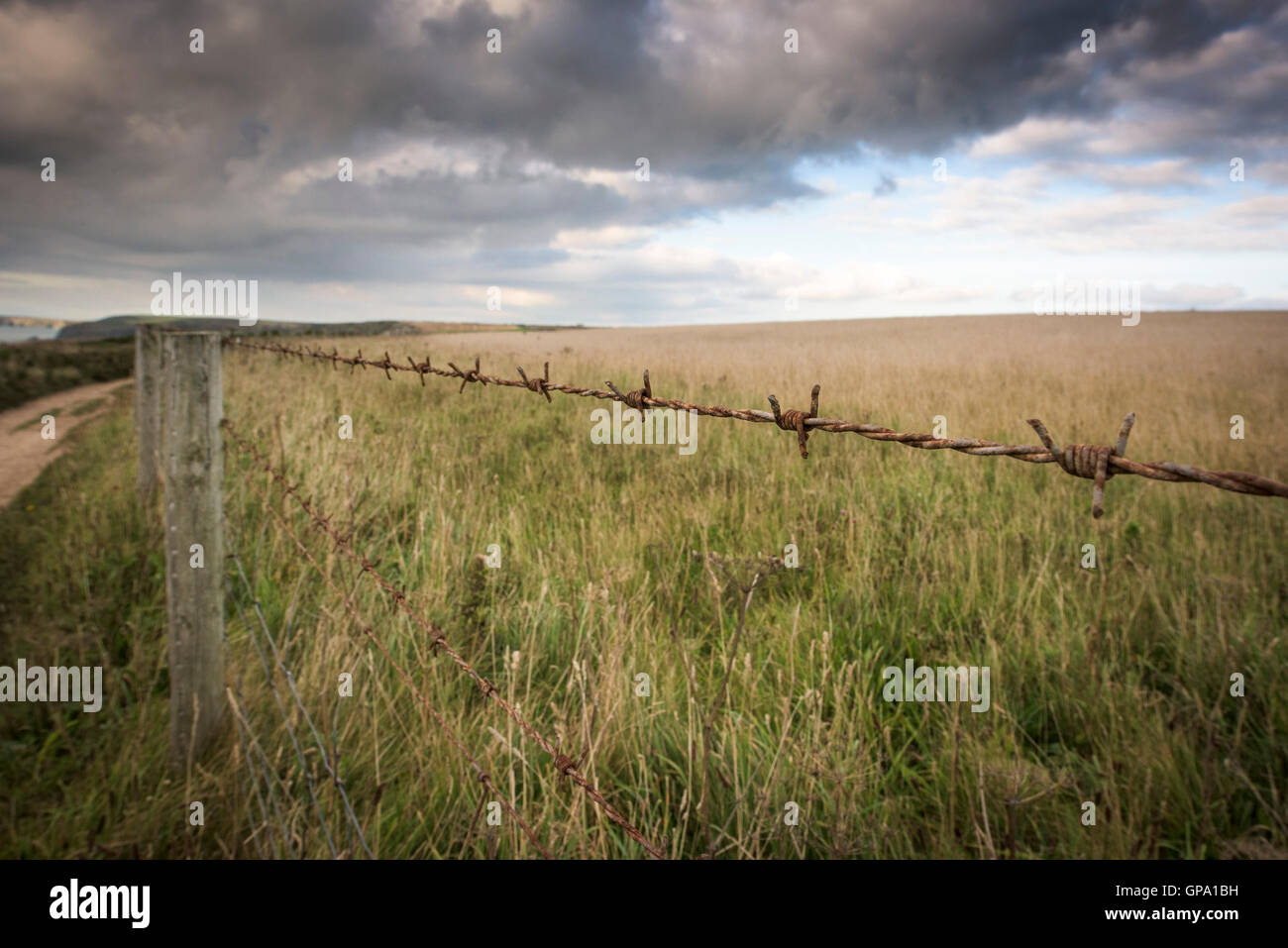 A barbed wire fence along a field Stock Photo - Alamy