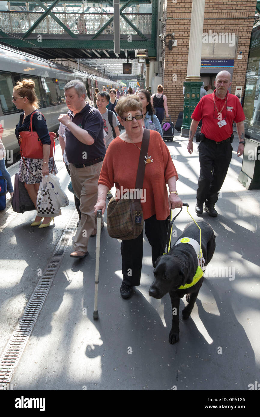 Disabled person using public transport Stock Photo - Alamy