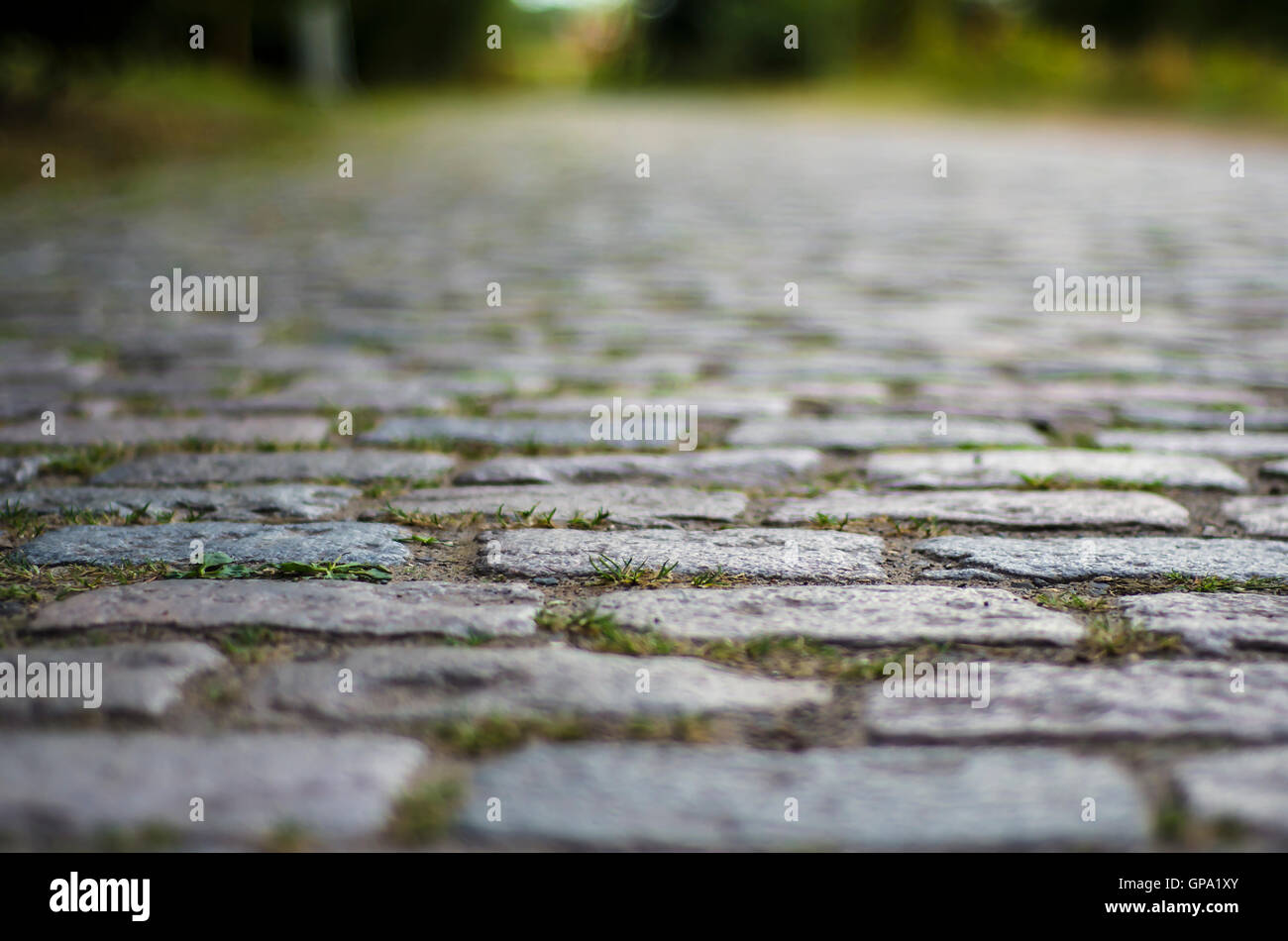 The road paved with stone Stock Photo - Alamy