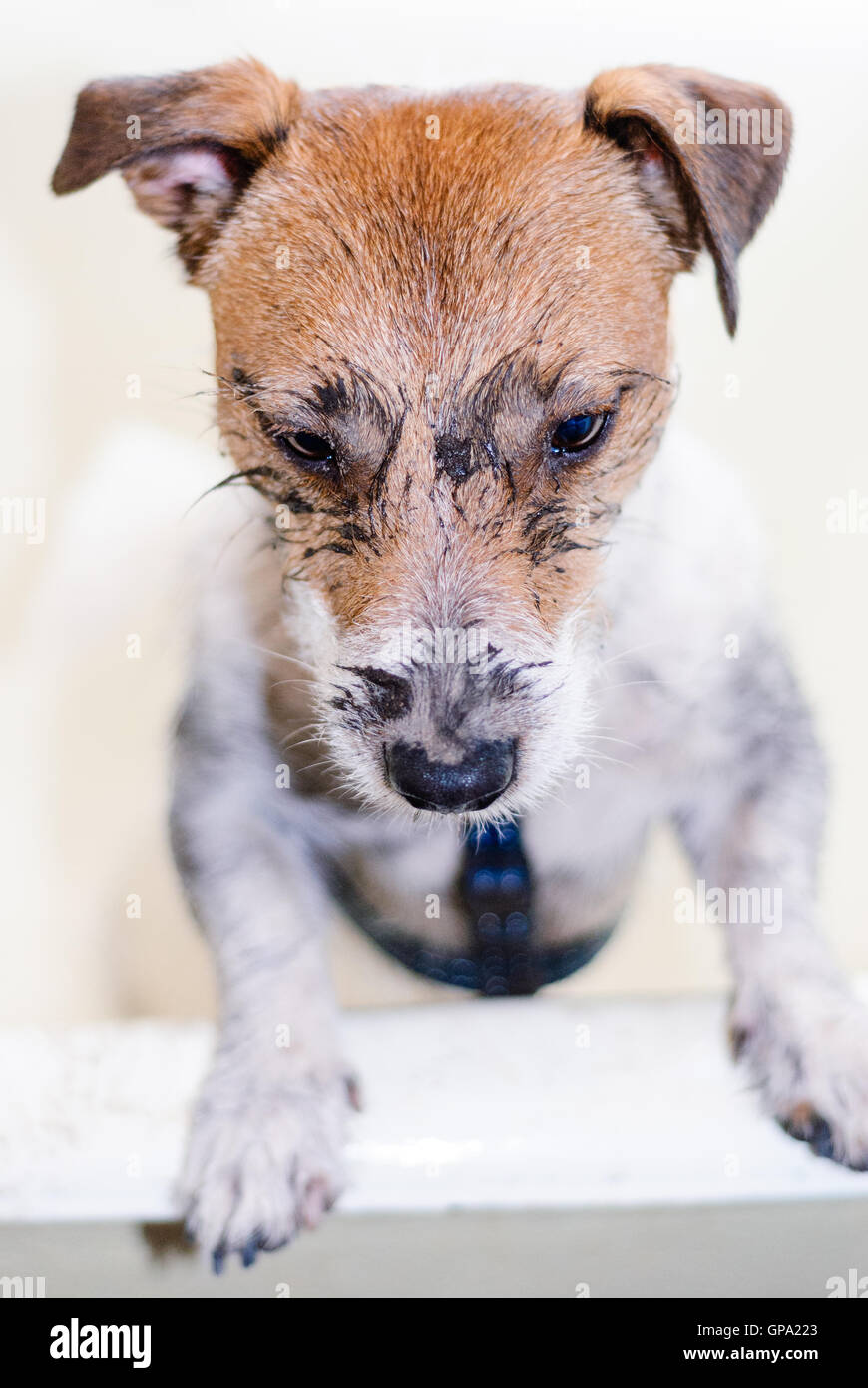 Dirty body hi-res stock photography and images - Alamy