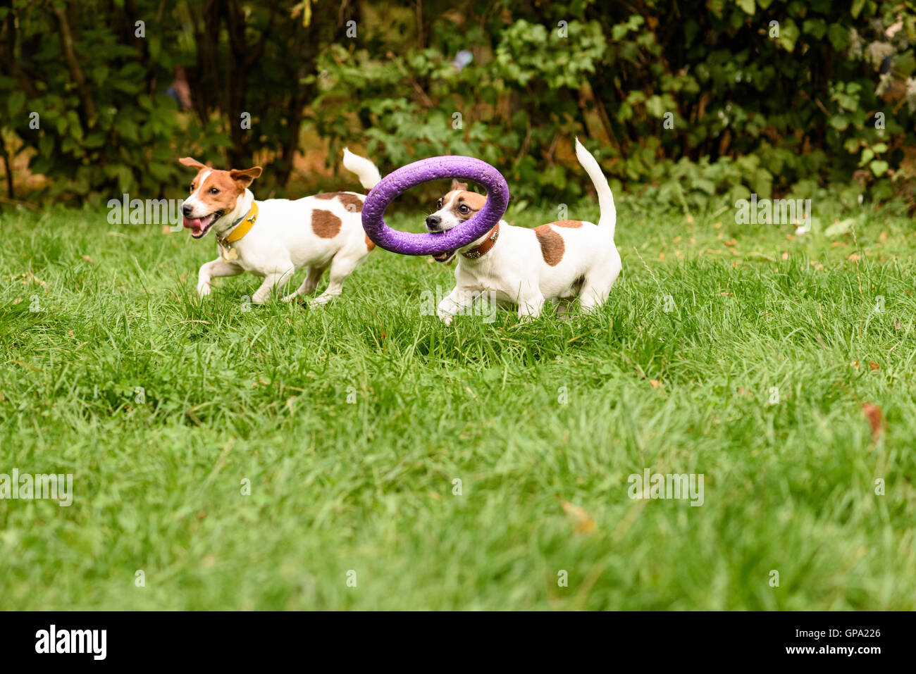 Big and little large and small hi-res stock photography and images - Alamy