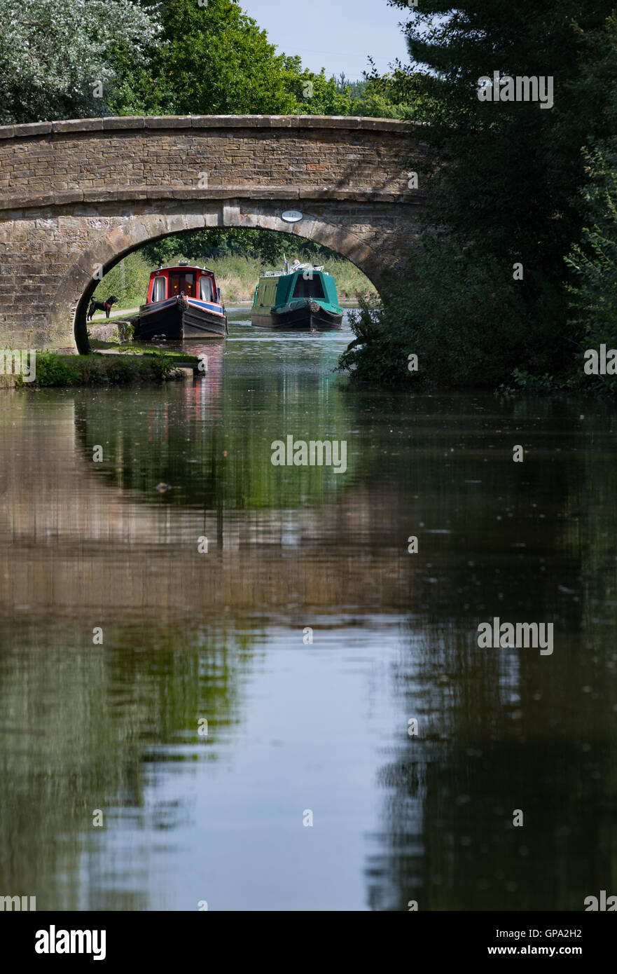 Bridge dog hi-res stock photography and images - Alamy
