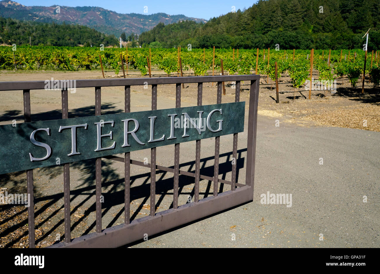 Sterling Vineyards winery vineyard with the iron gate in foreground ...
