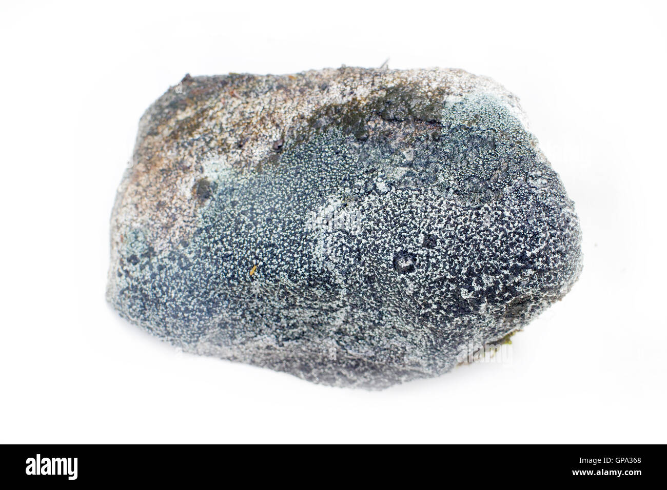 natural stones from high mountain tundra isolated Stock Photo - Alamy