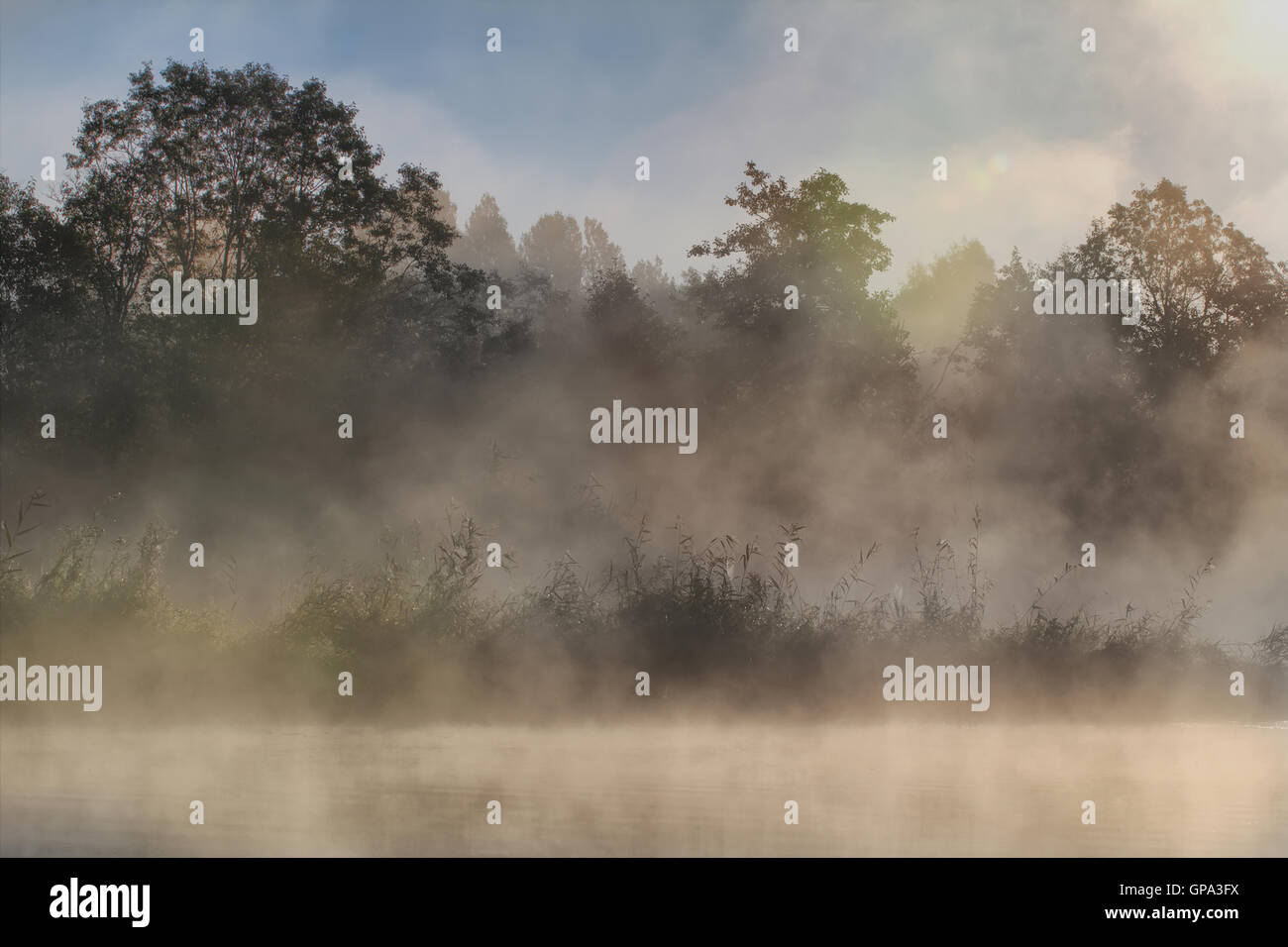 river mist in the summer morning Stock Photo - Alamy