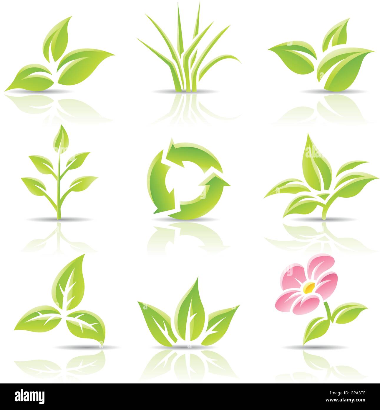 Vector icons of leaves and a flower Stock Vector Image & Art - Alamy