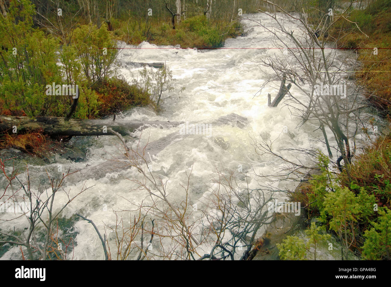 Stream boiling in shallow waters. Spray bounce off in different ...