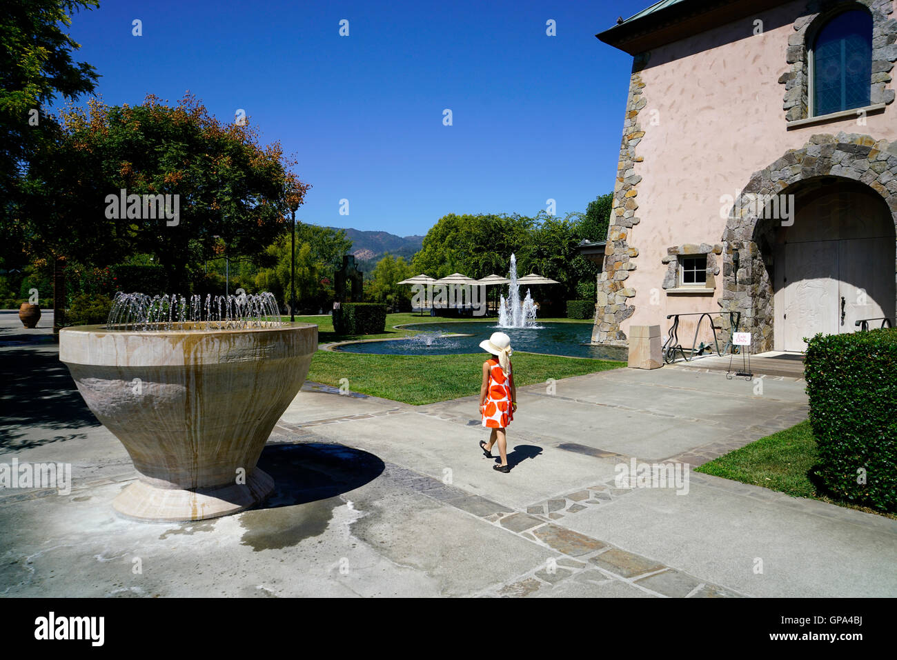 The garden of Peju Province Winery.Rutherford,Napa Valley,Northern ...