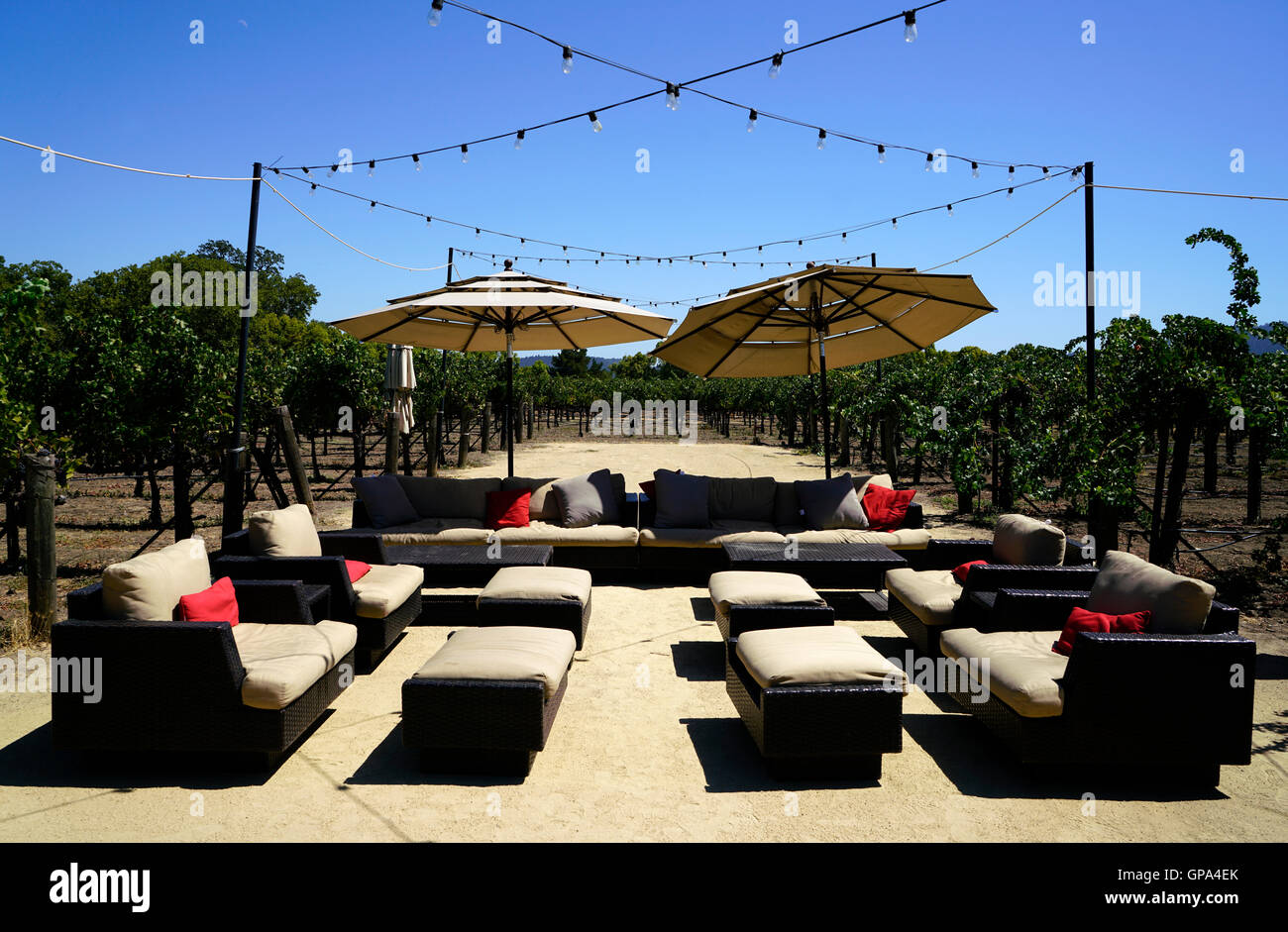Outdoor tasting seating in the garden of Peju Province Winery ...