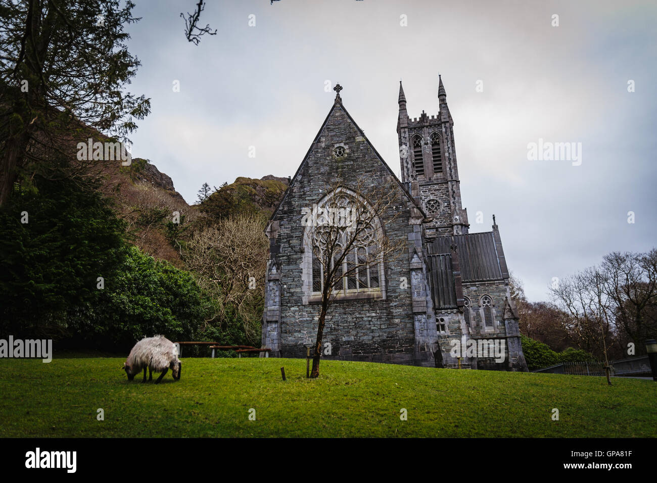 Mini Cathedral at Kylemore Abbey, featuring sheep Stock Photo - Alamy