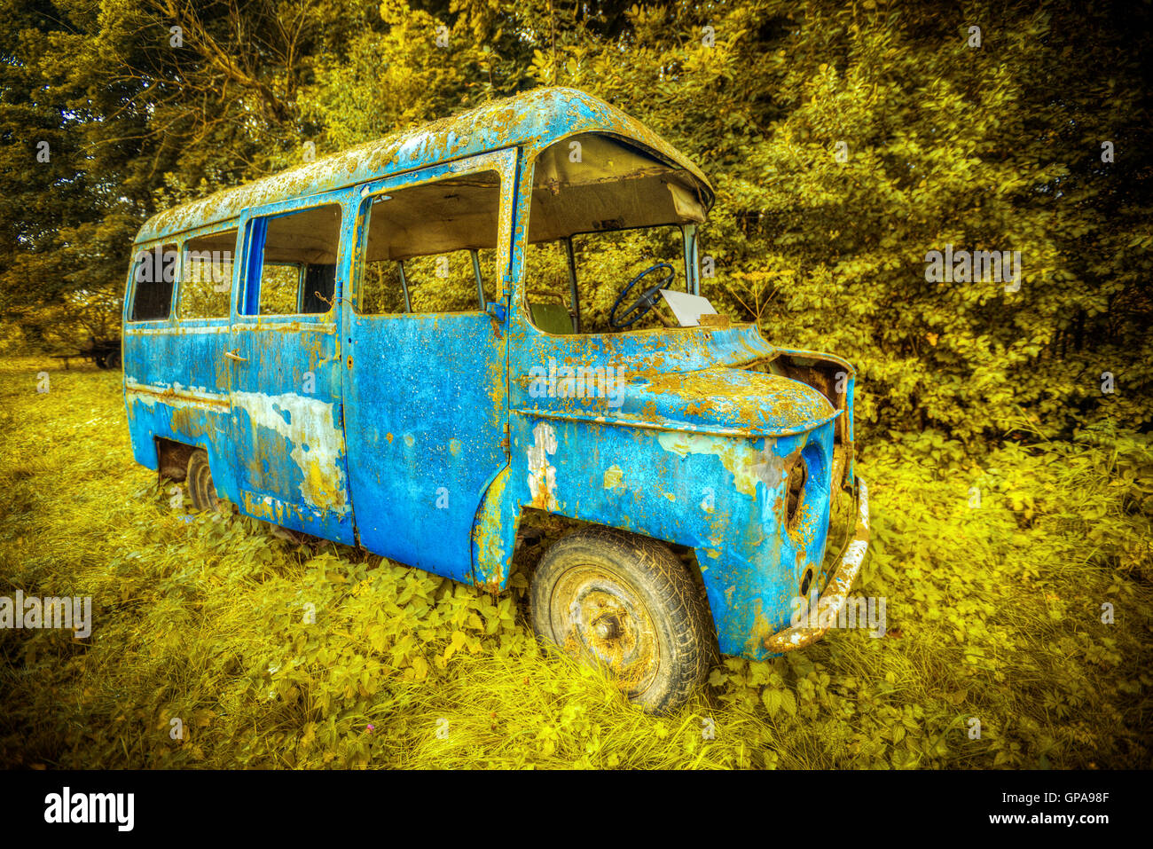 rusty old blue bus standing in the woods Stock Photo - Alamy