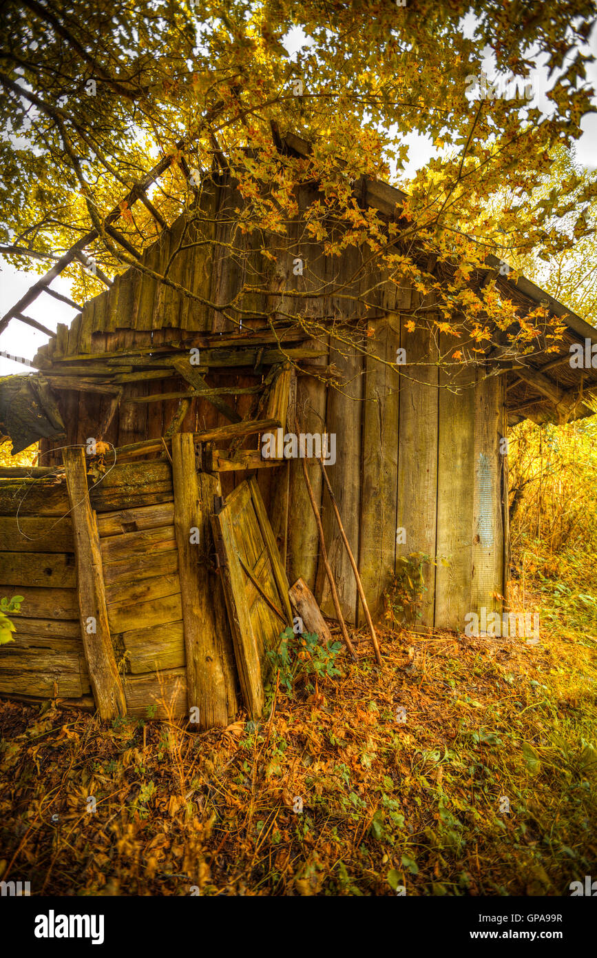 old wooden house in the forest autumn Stock Photo - Alamy