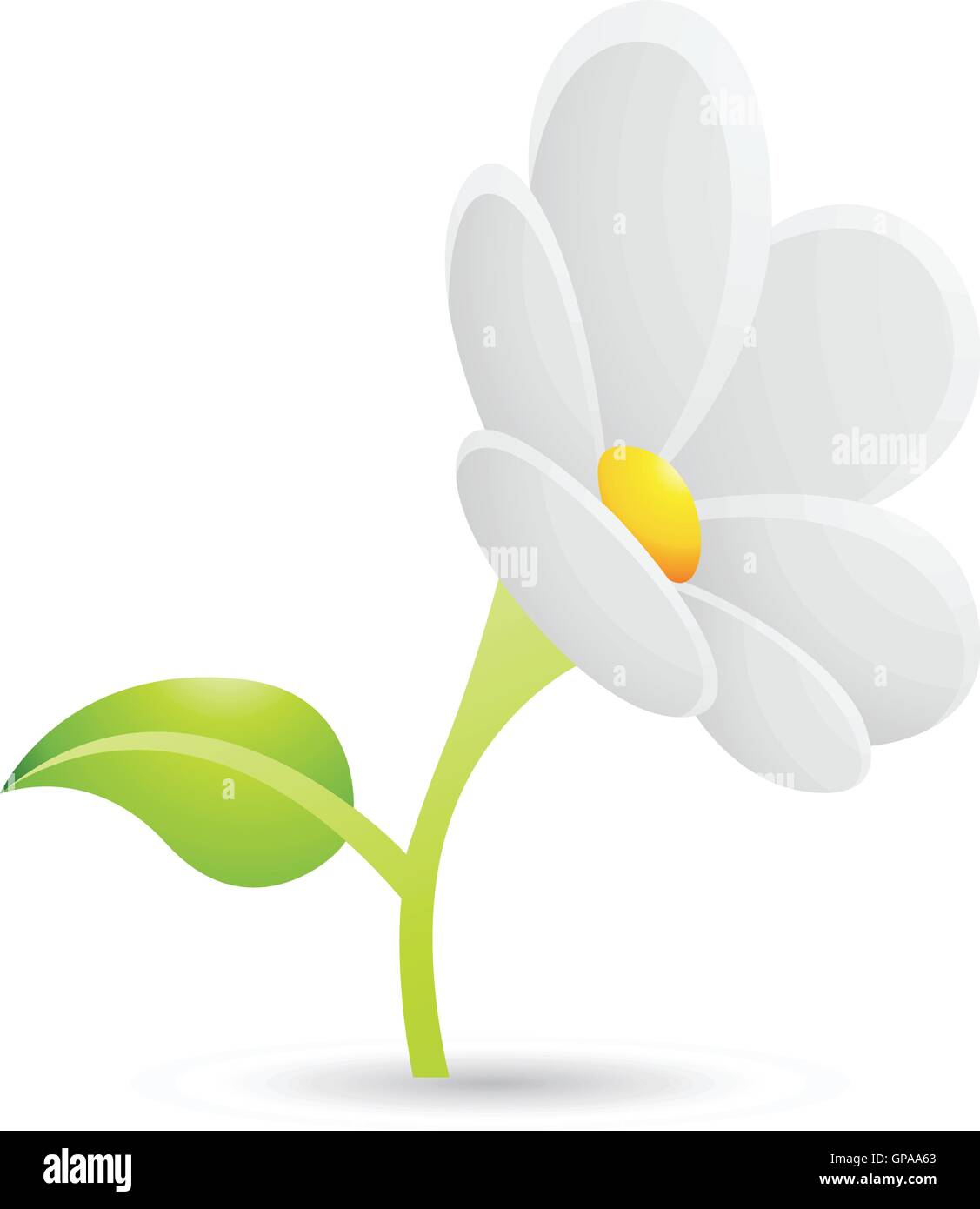 Illustration of White Daisy Flower Icon isolated on a white background ...