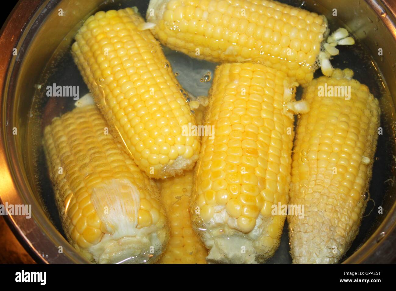 Sweet corn boiling in pot Stock Photo - Alamy