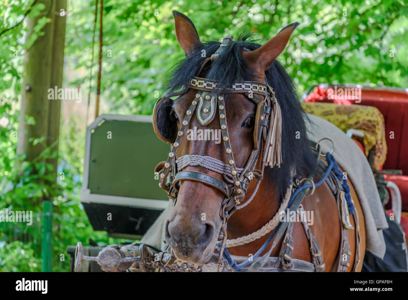 Curbed hi-res stock photography and images - Alamy