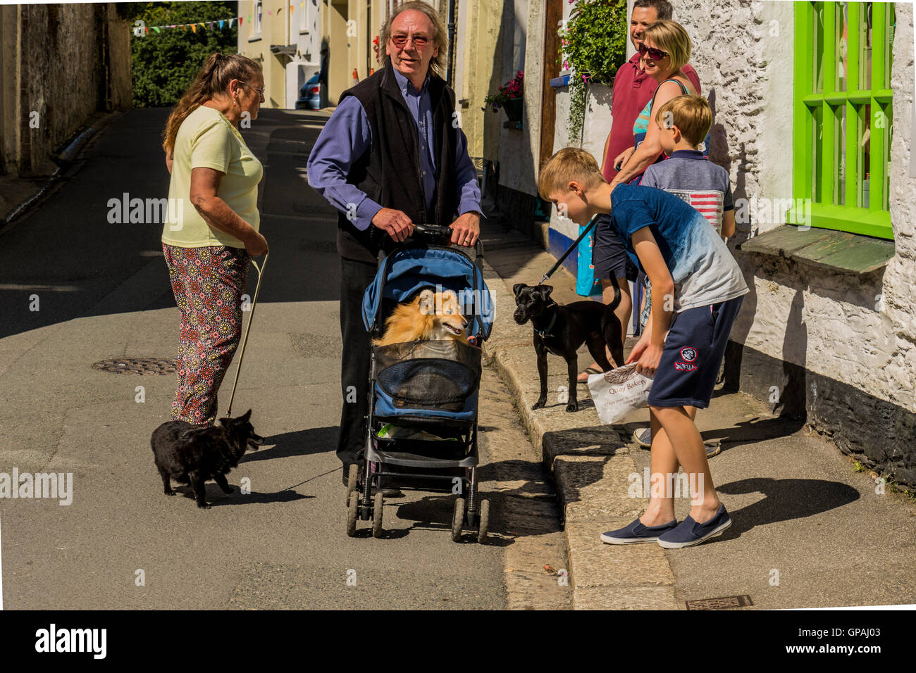 Man pushing dog round in pram in Fowey Cornwall England Stock Photo - Alamy