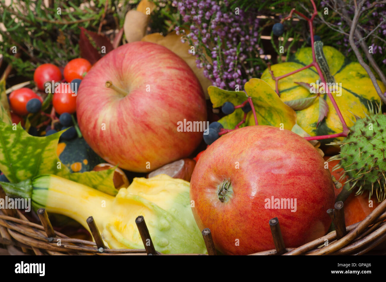 colorful nature still life with fall plants Stock Photo - Alamy