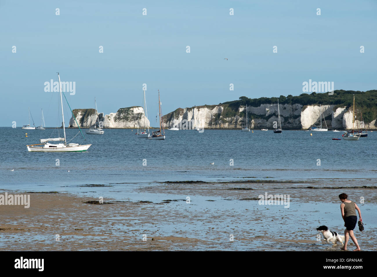 Looking out towards Old Harry Rocks from Middle Beach and Knoll Beach ...