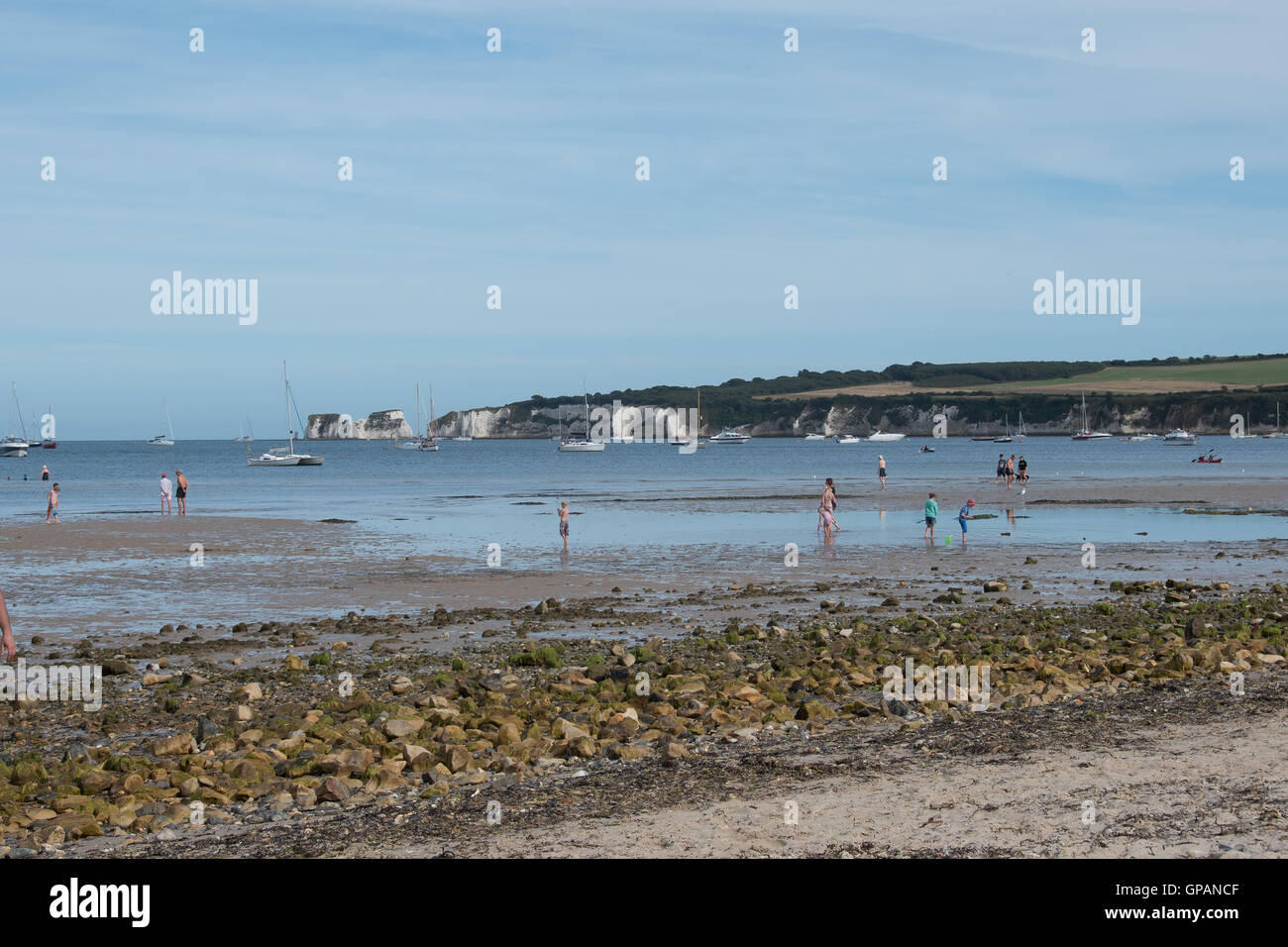 Looking out towards Old Harry Rocks from Middle Beach and Knoll Beach ...
