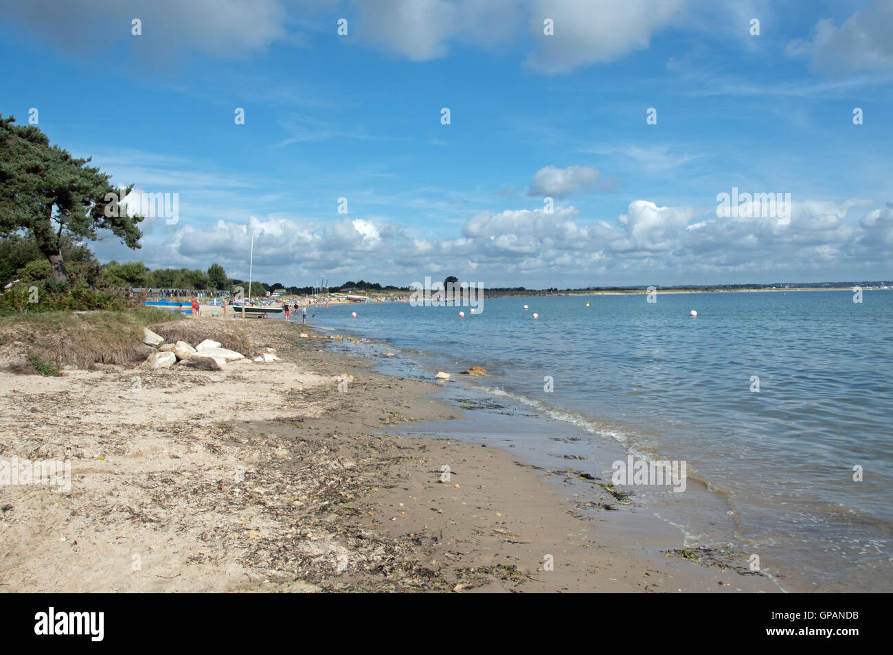 Looking east along Middle Beach and Knoll Beach, Studland Bay, Dorset ...