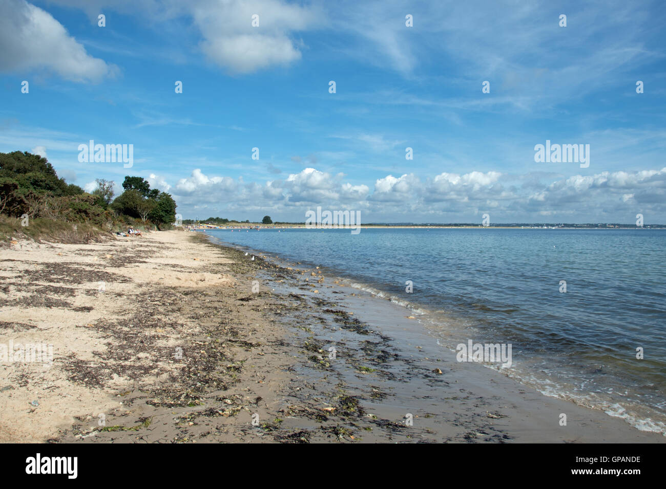 Looking east along Middle Beach and Knoll Beach, Studland Bay, Dorset ...