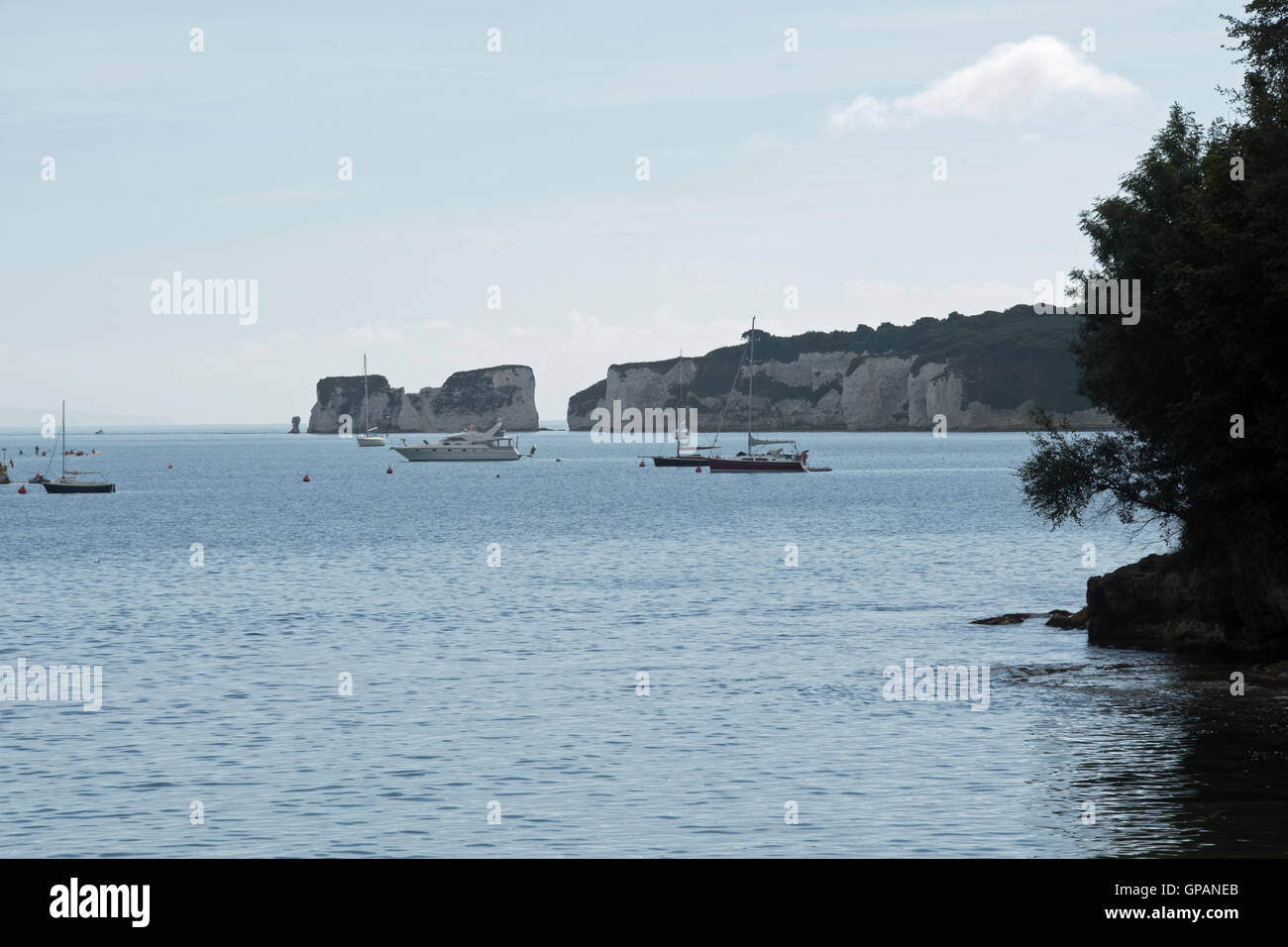 Looking out towards Old Harry Rocks from Middle Beach and Knoll Beach ...