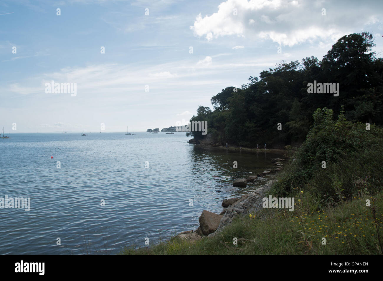 Looking out towards Old Harry Rocks from Middle Beach and Knoll Beach ...