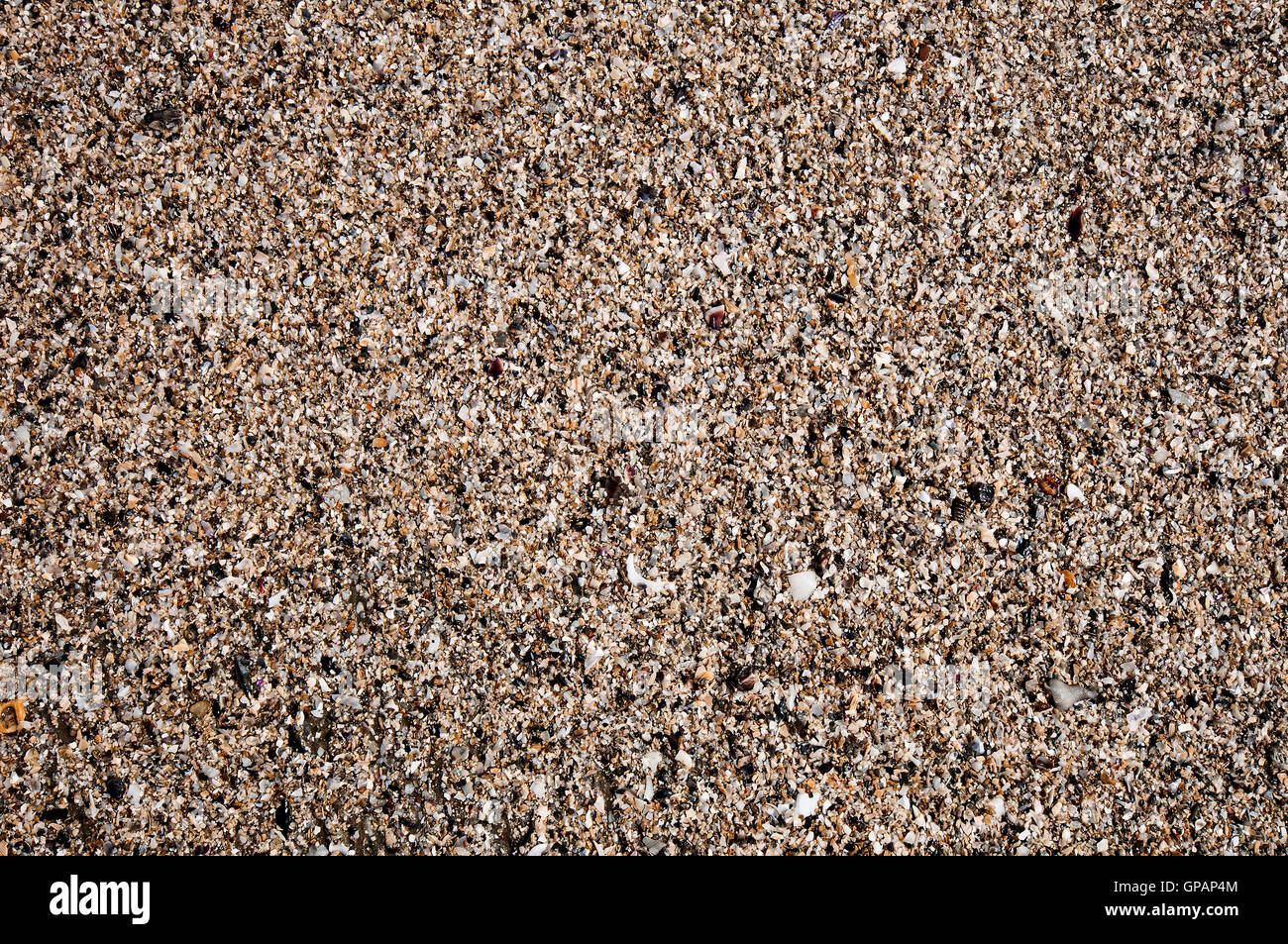 Sand crushed shells on beach hi-res stock photography and images - Alamy