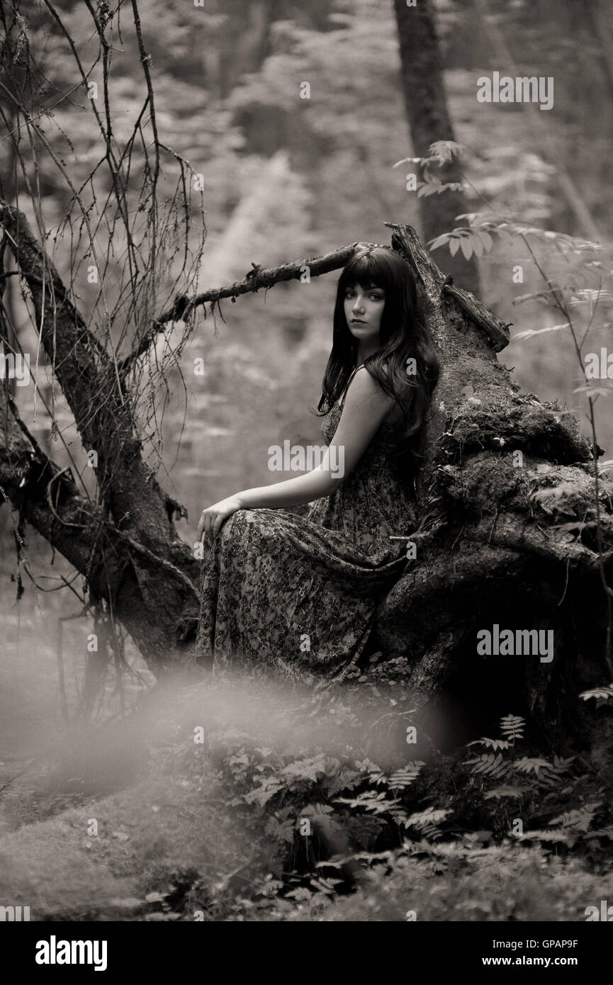 Dryad hi-res stock photography and images - Alamy