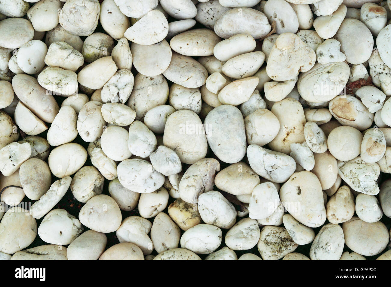 Close up path and shingle hi-res stock photography and images - Alamy