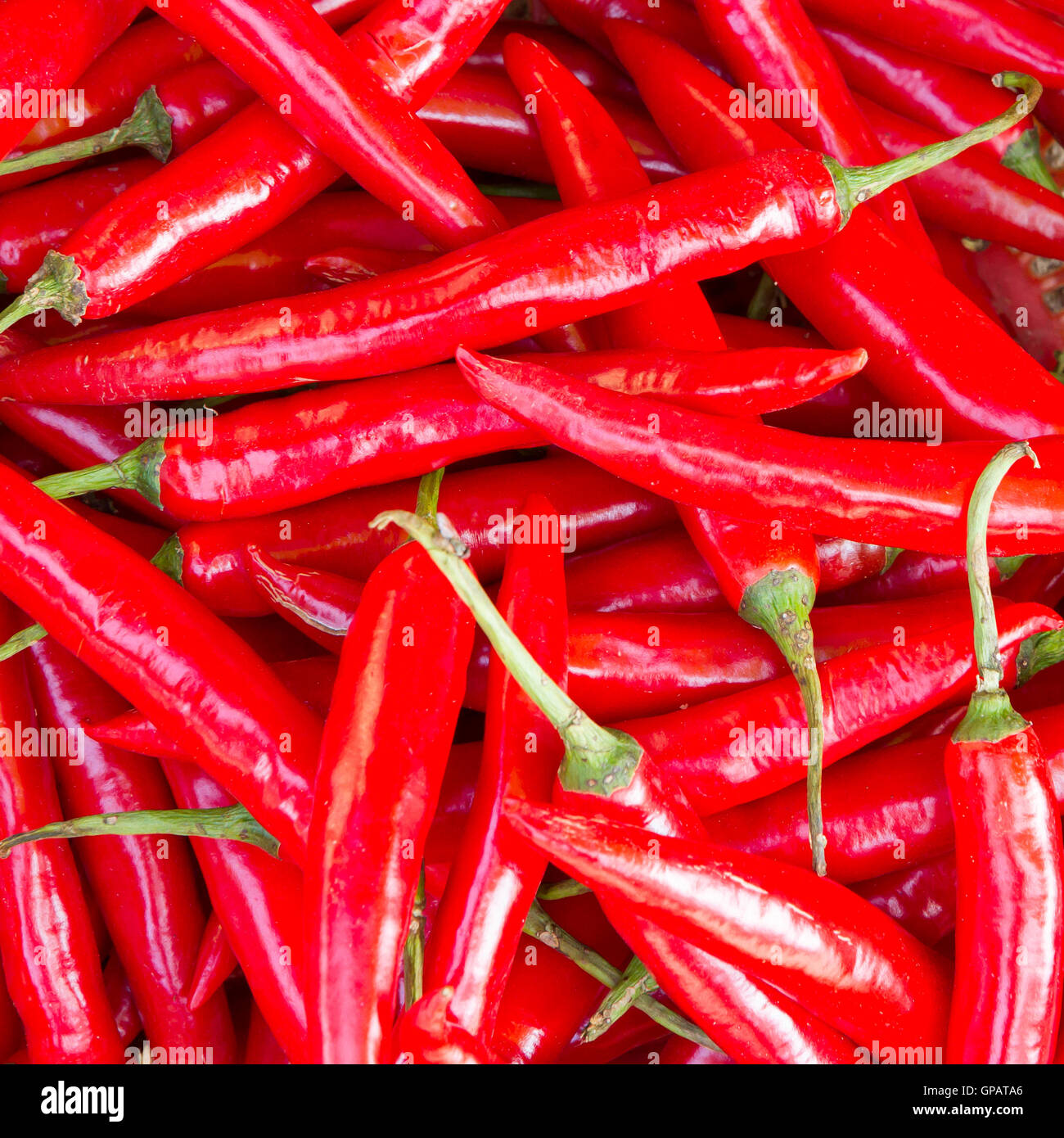 Heap Of Ripe Big Red Peppers At A Street Market In Dong Hoi Stock Photo ...