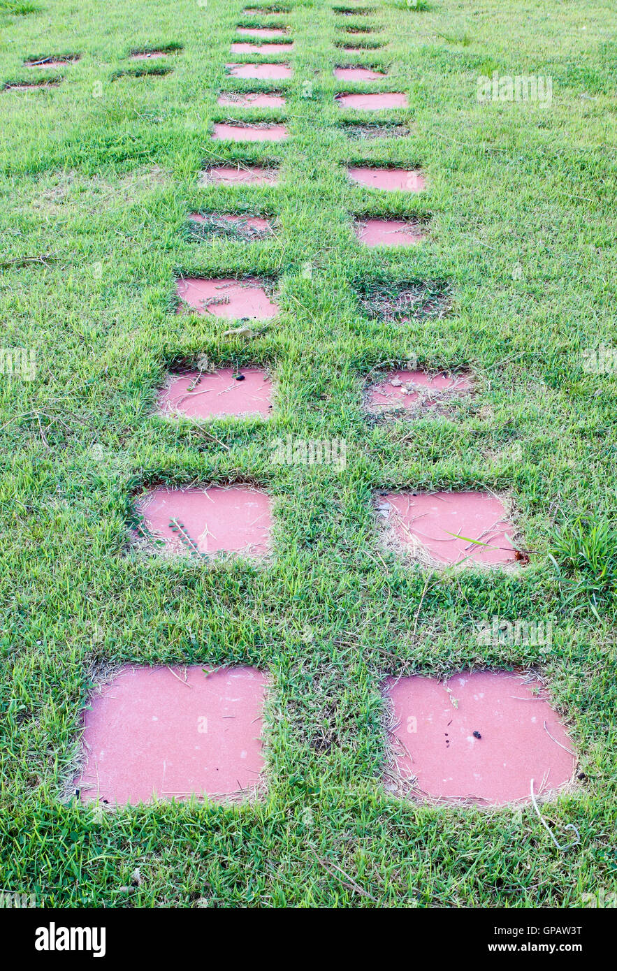 stone way in green grass Stock Photo - Alamy