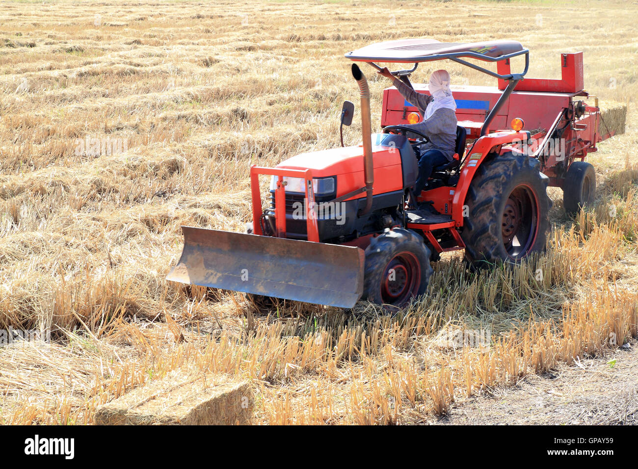 farmer and tractor packing straw in the field at Thailand Stock Photo ...