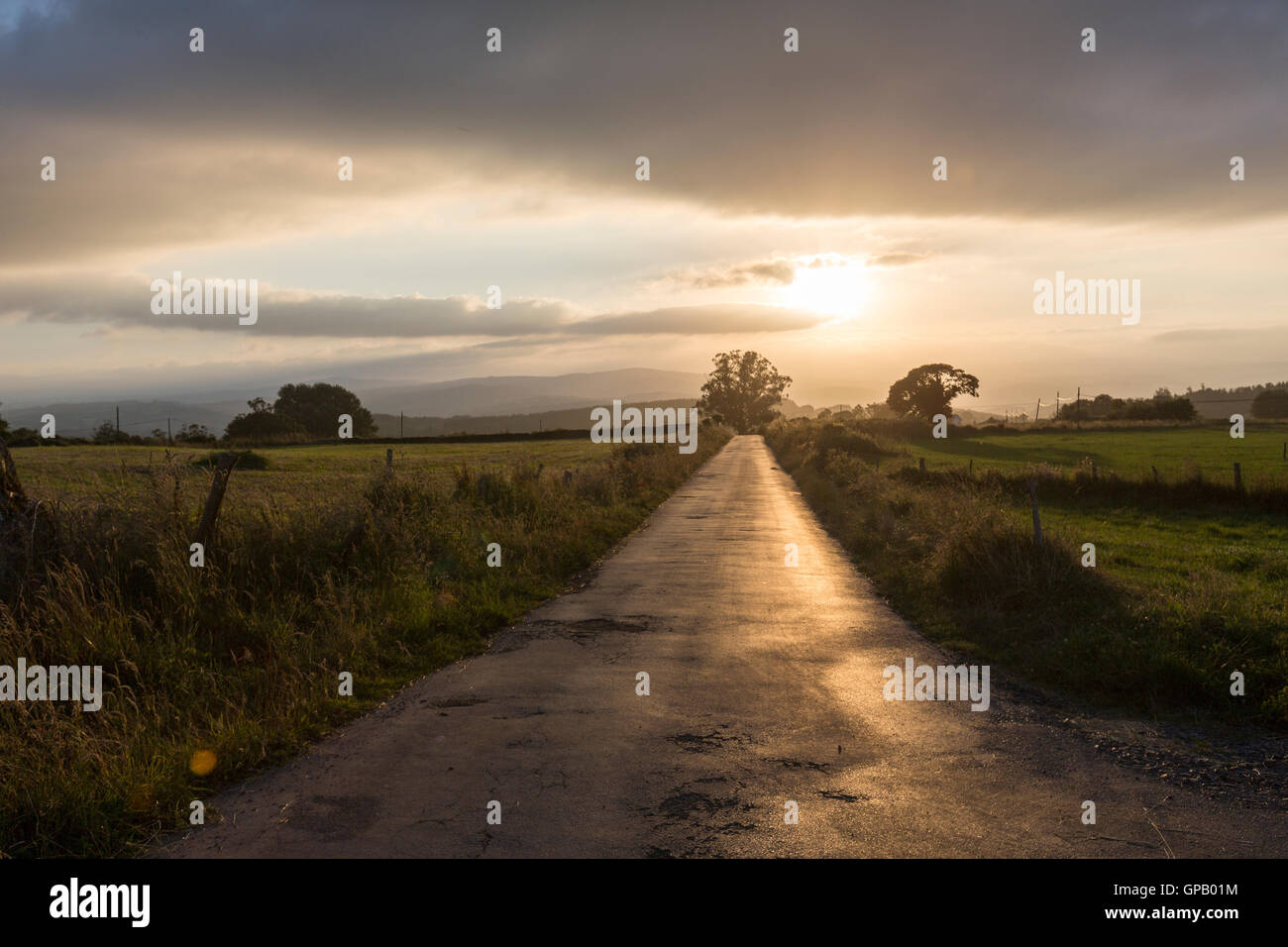 Country road in a rural area in Galicia at sunset, Rios, Paradela, Lugo ...