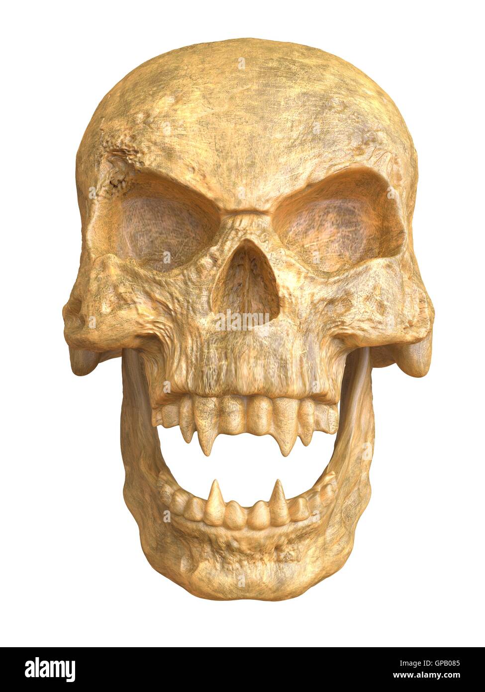 Vampire skeleton Cut Out Stock Images & Pictures - Alamy