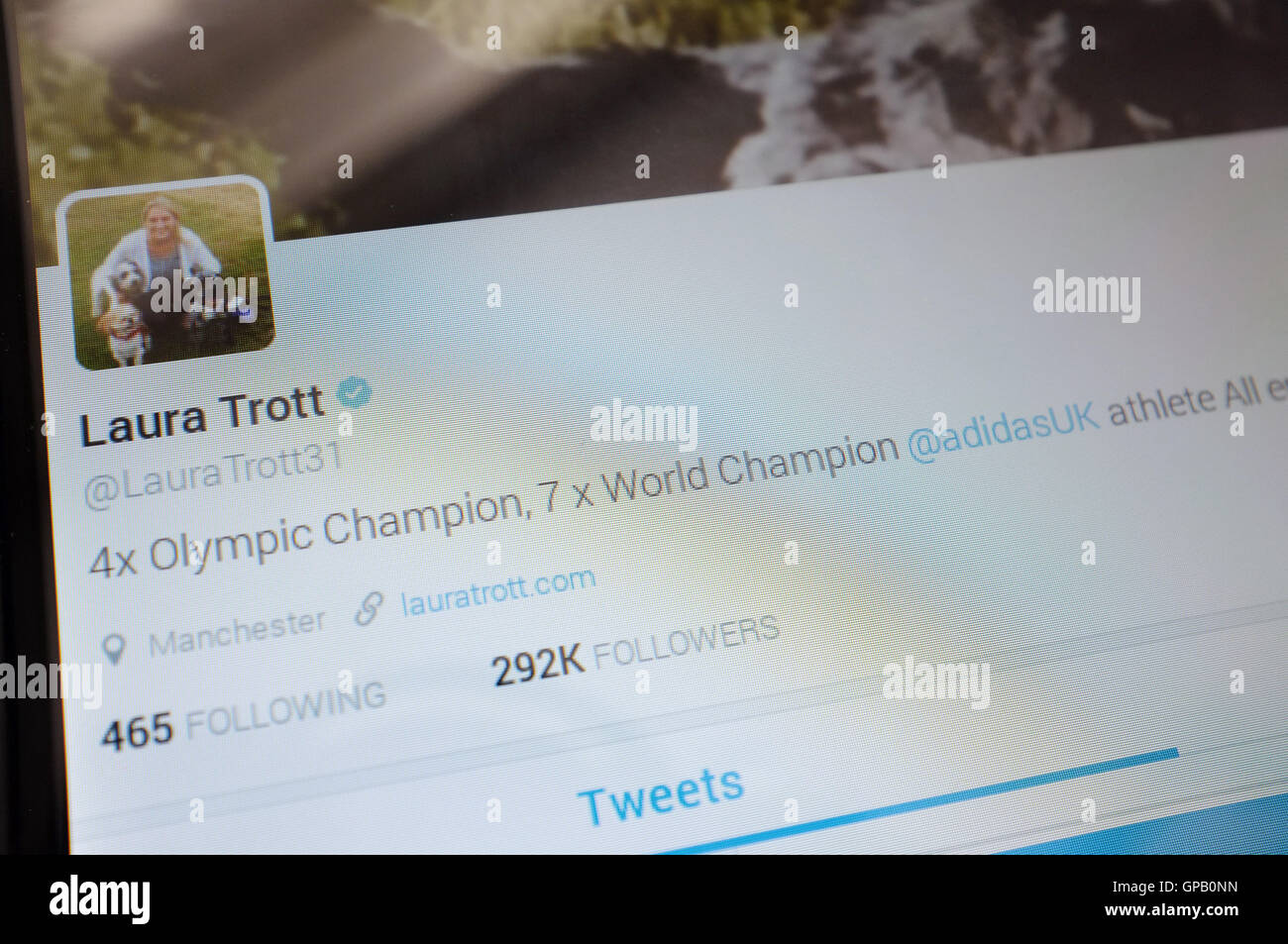 An image of Laura Trott's Twitter profile on Twitter Stock Photo - Alamy