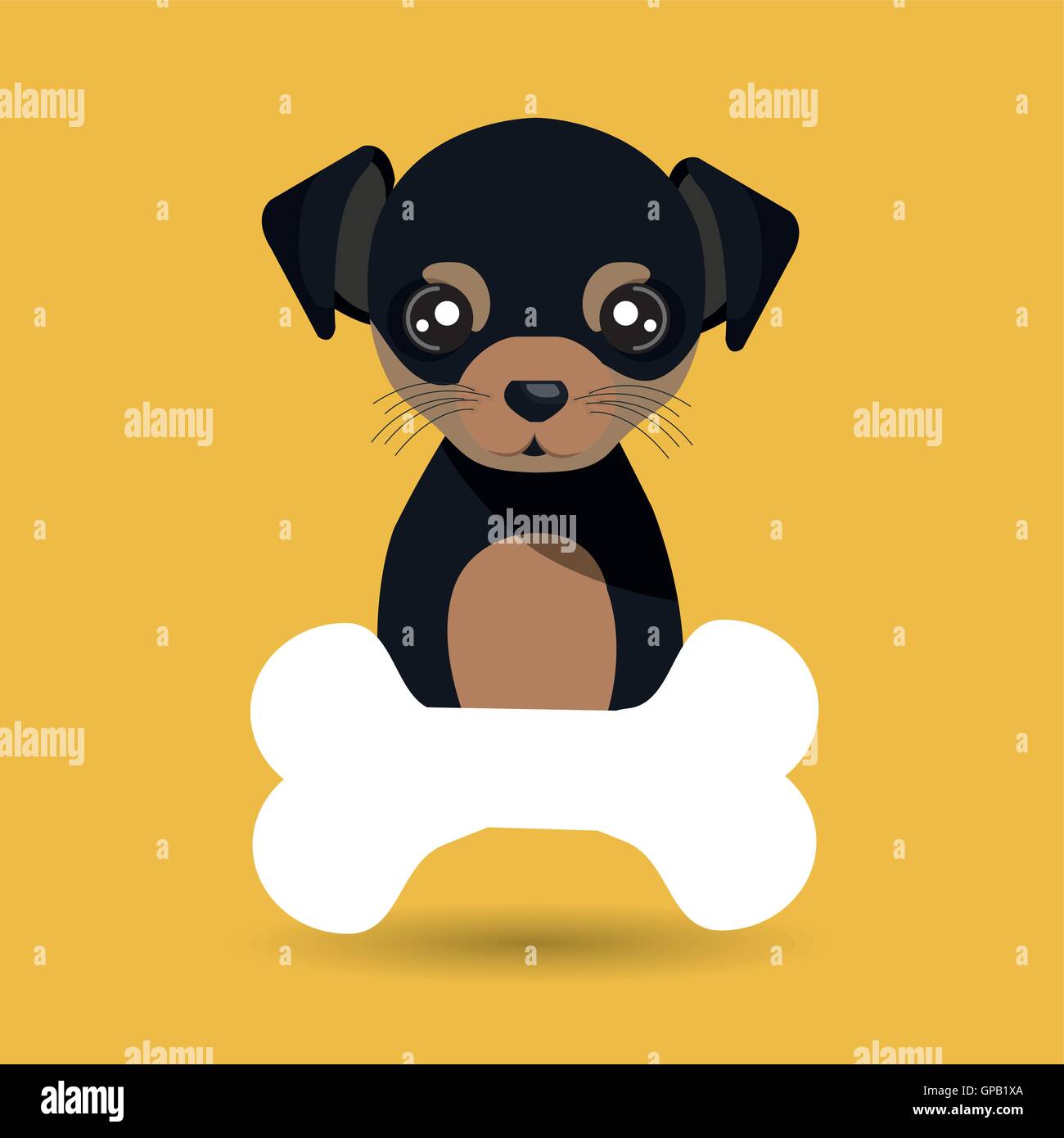 dog pet bone icon Stock Vector Image & Art - Alamy