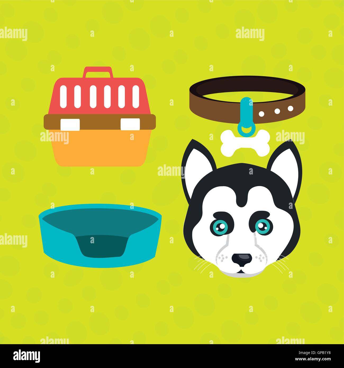 dog plate collar Stock Vector Image & Art - Alamy