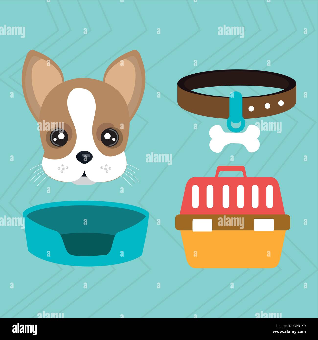 dog plate collar Stock Vector Image & Art - Alamy