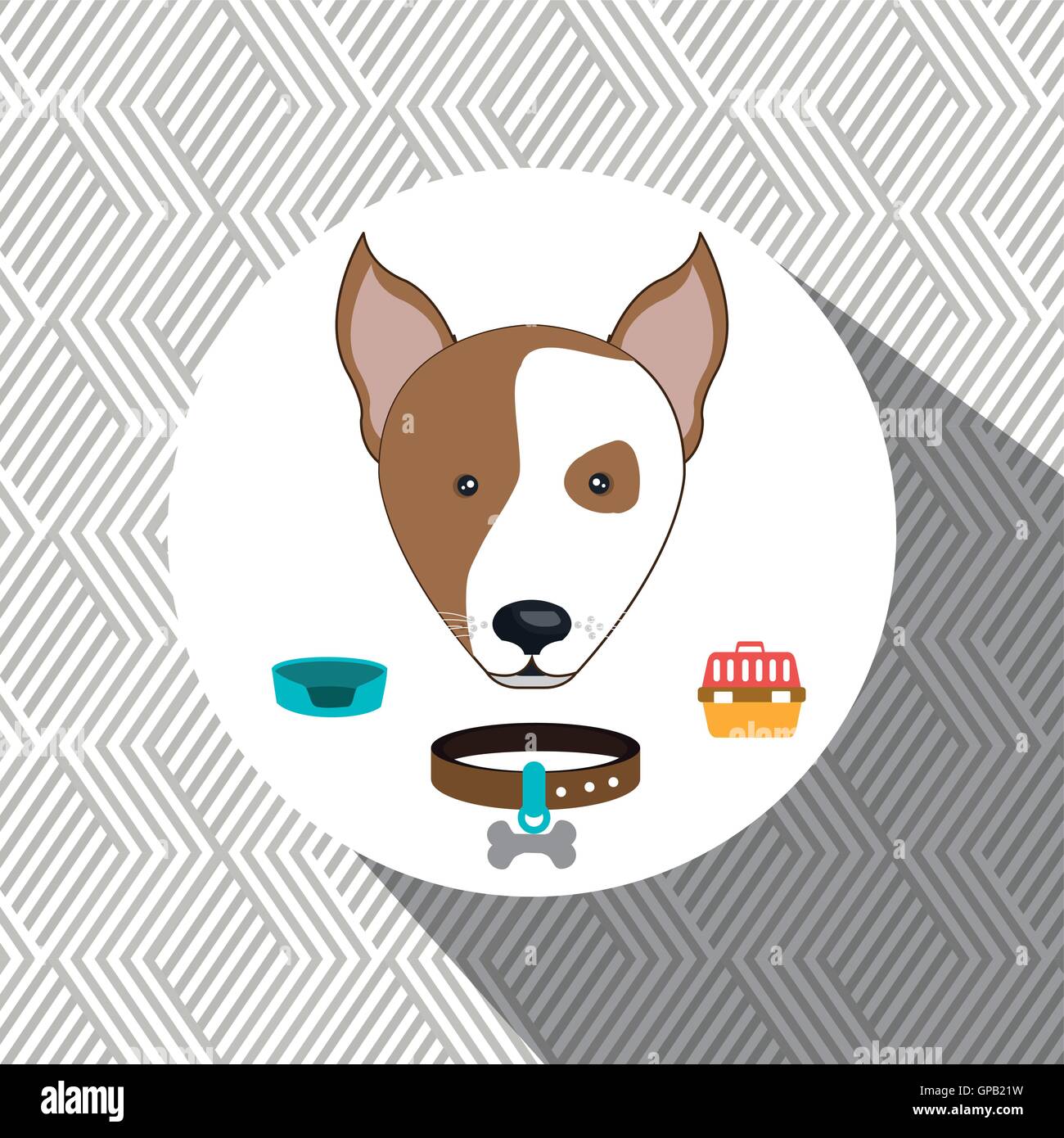 dog plate collar Stock Vector Image & Art - Alamy