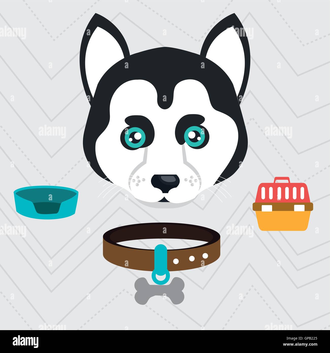 dog plate collar Stock Vector Image & Art - Alamy