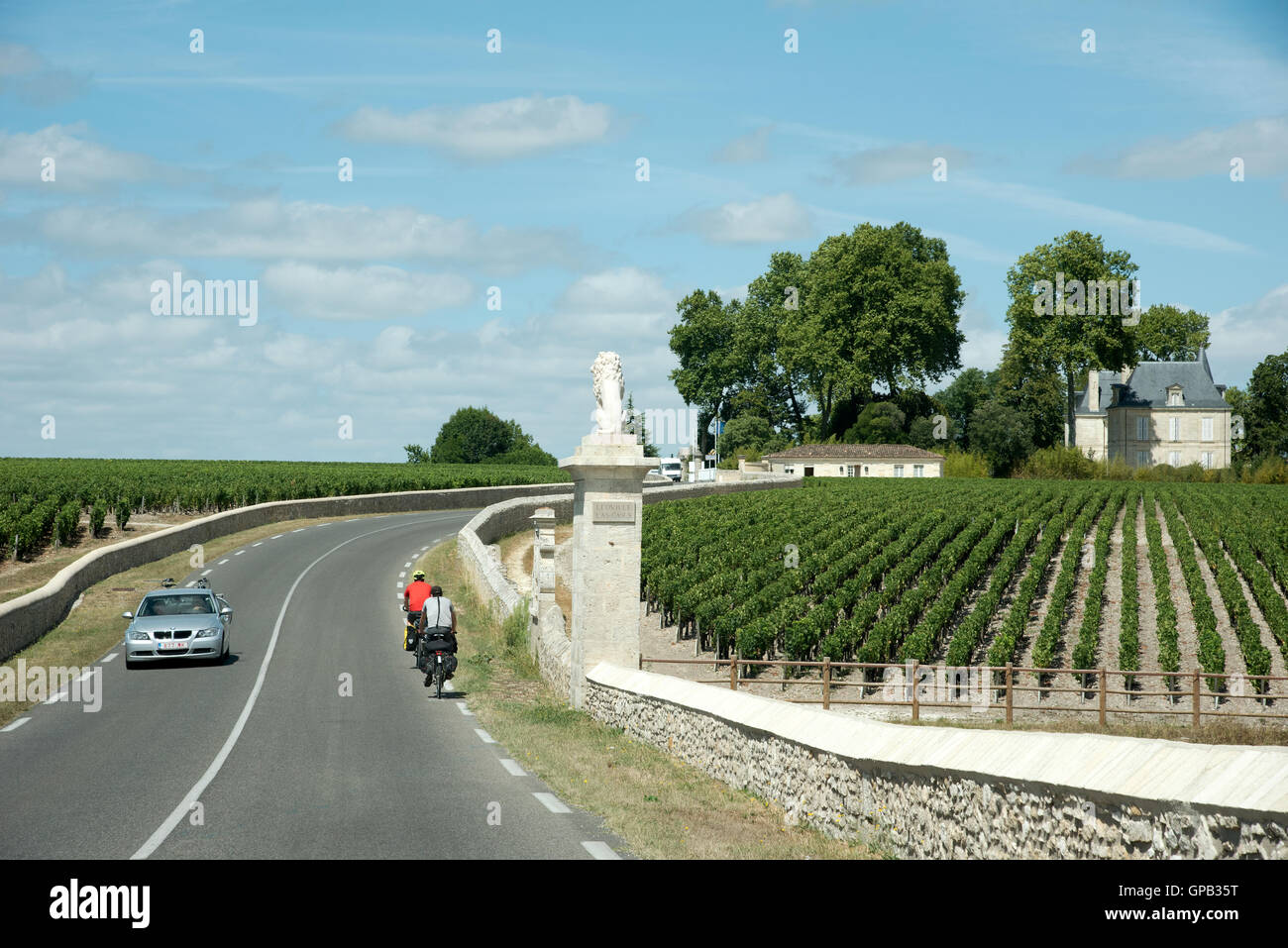 Cycling bordeaux vineyard hi-res stock photography and images - Alamy