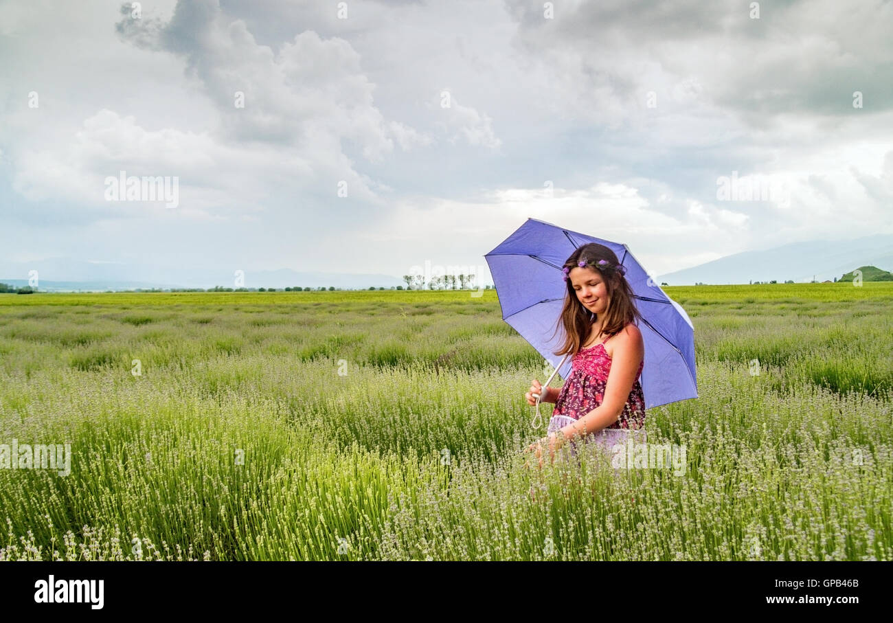 Beautiful young girl in lavender fields with umbrella Stock Photo - Alamy