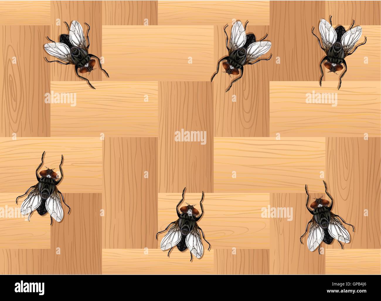 Many flies on the wooden floor illustration Stock Vector Image & Art ...
