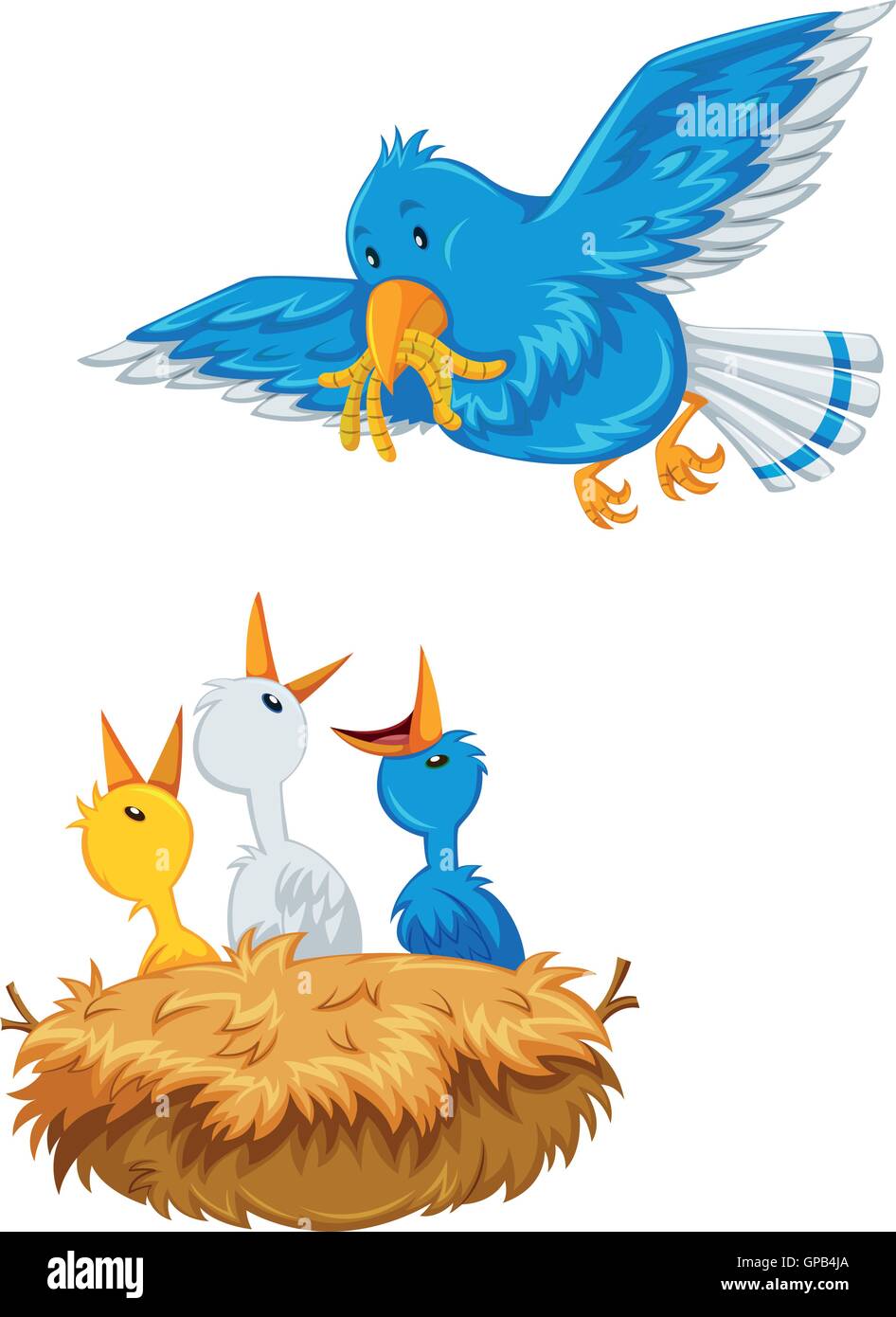 Mother bird feeding the offsprings illustration Stock Vector Image ...