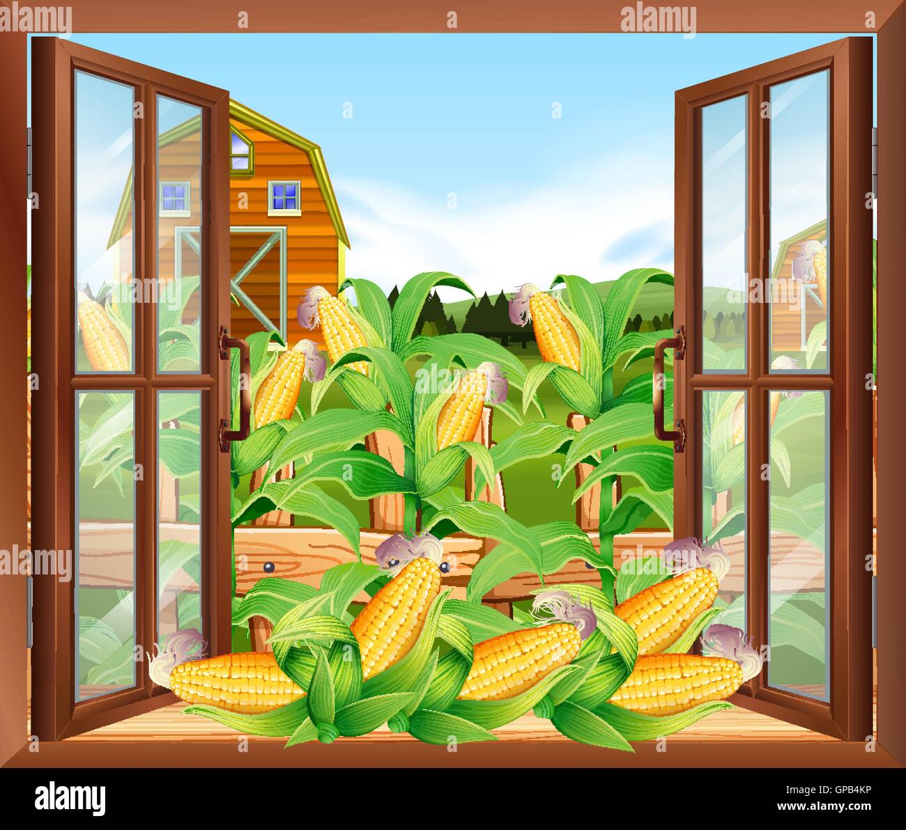 Corn crops farm Stock Vector Images - Alamy