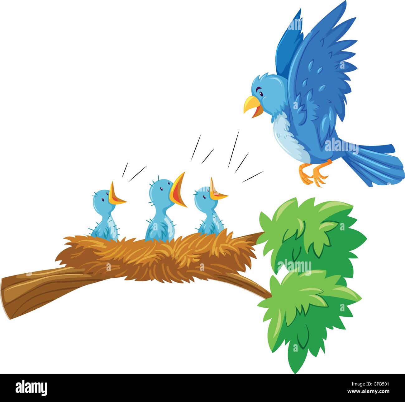 Mother and babies bird on the branch illustration Stock Vector Image ...