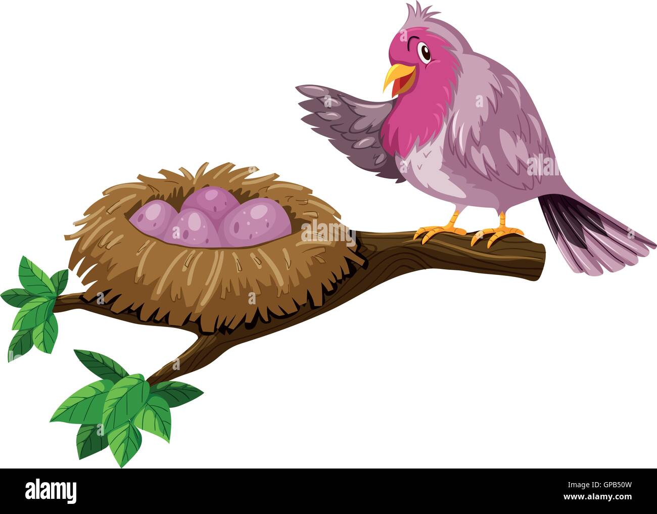 Bird Nest Stock Vector Images - Alamy